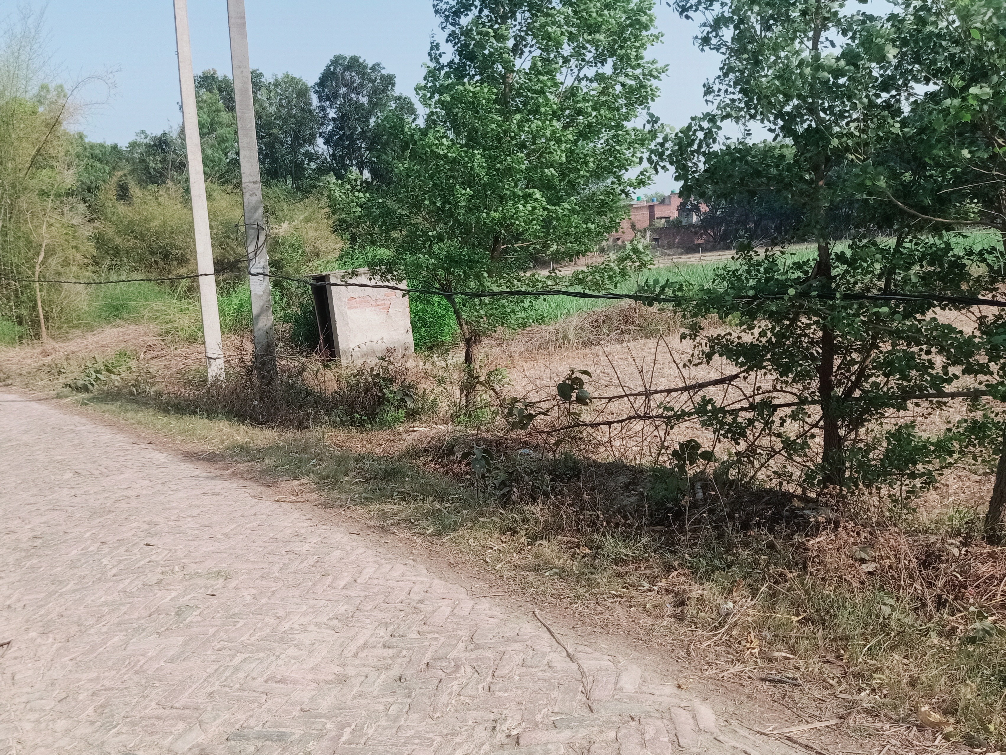 Electricity wire hanging on the road in Bargadi