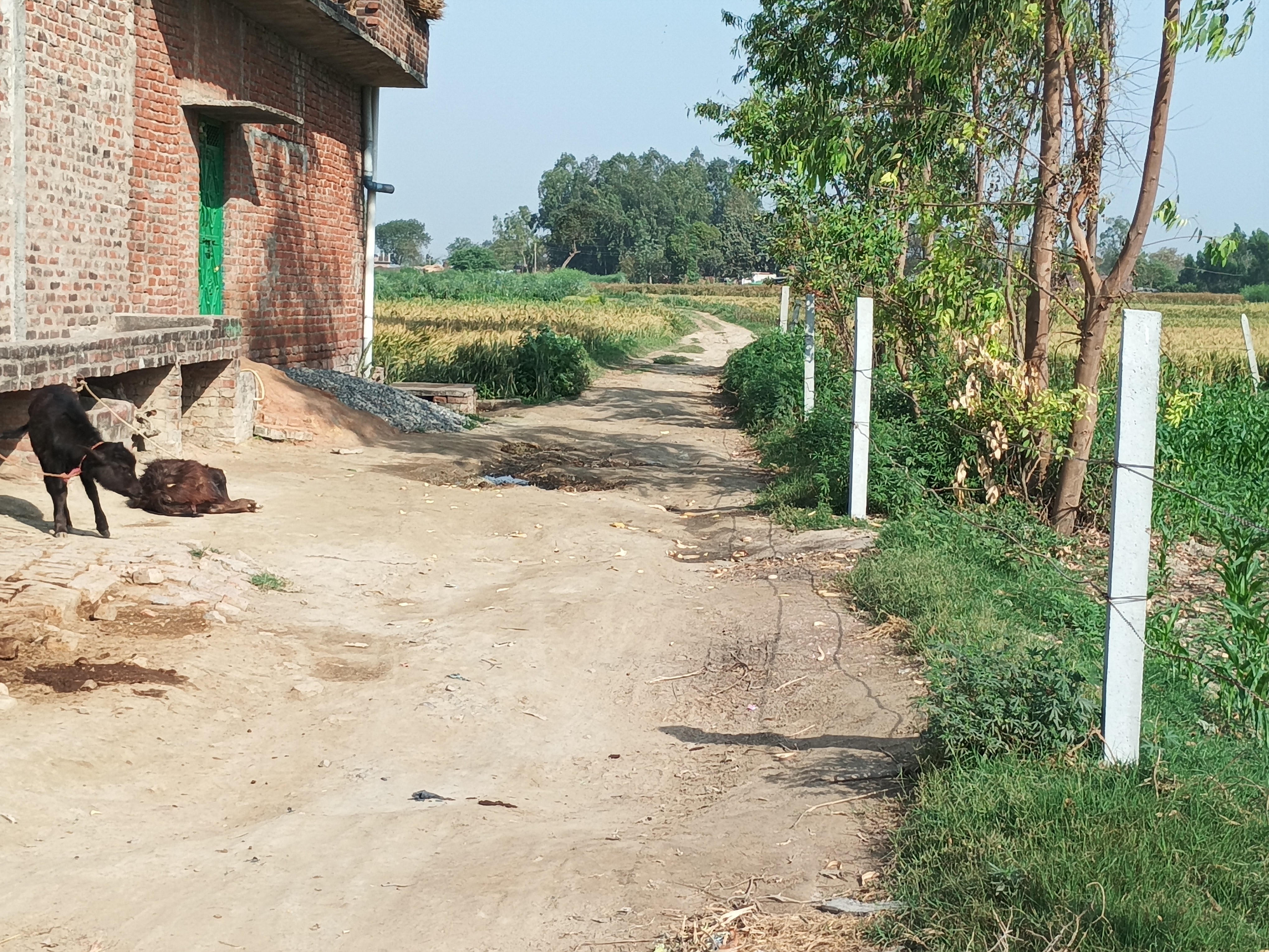 Demand to install paving stones on the unpaved road from Bandha to ...