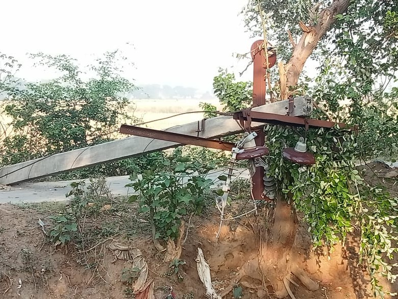 Electricity cut off due to tree falling in Bansdih | बांसडीह में पेड़ ...
