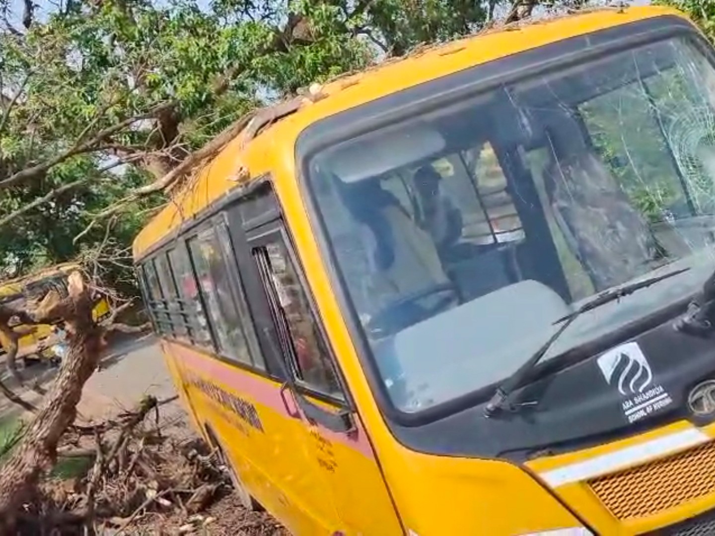 A dry tree fell on a school bus in Lambhua | लंभुआ में स्कूली बस पर ...