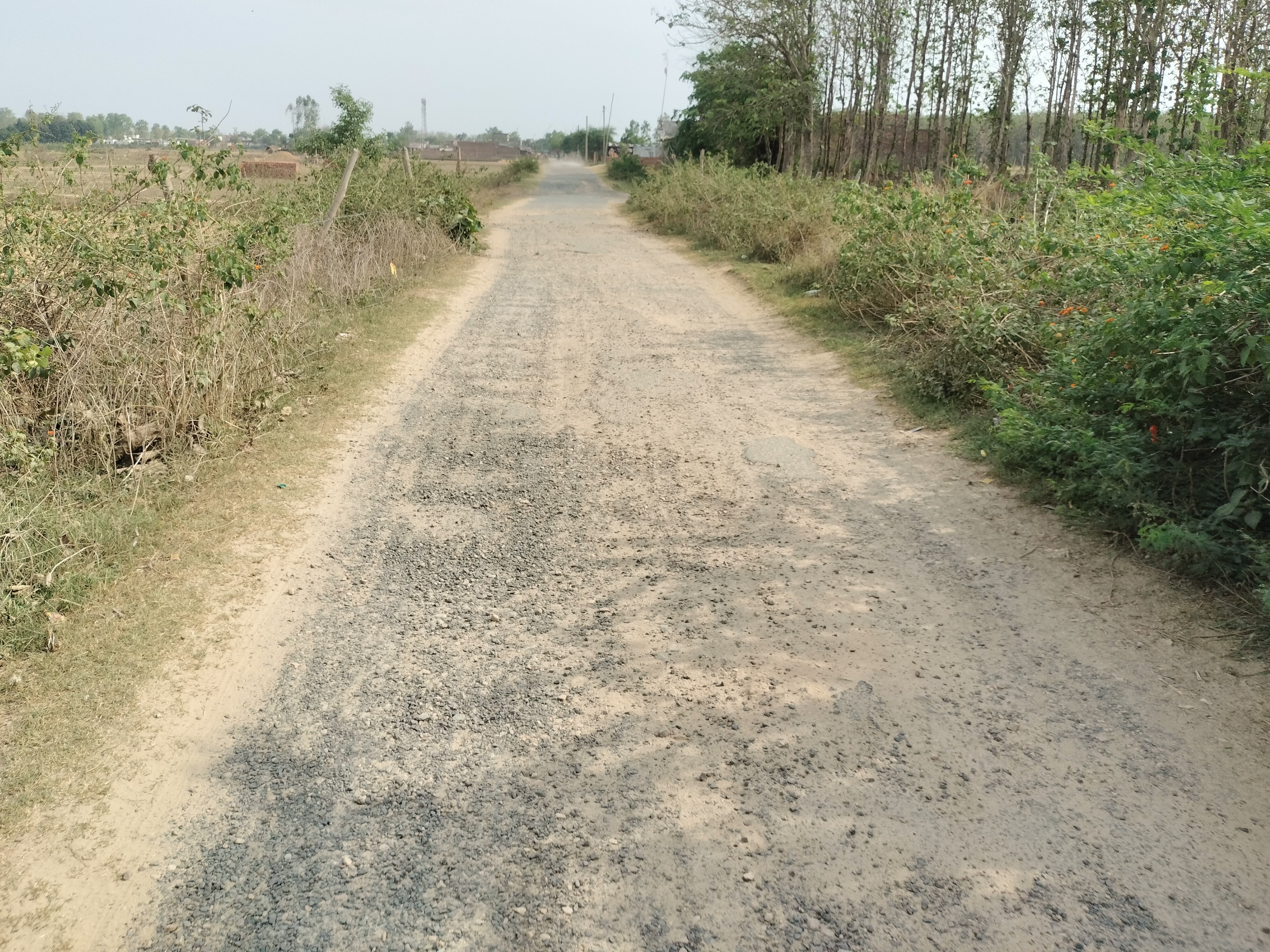 People are in danger due to dilapidated road in Balrampur