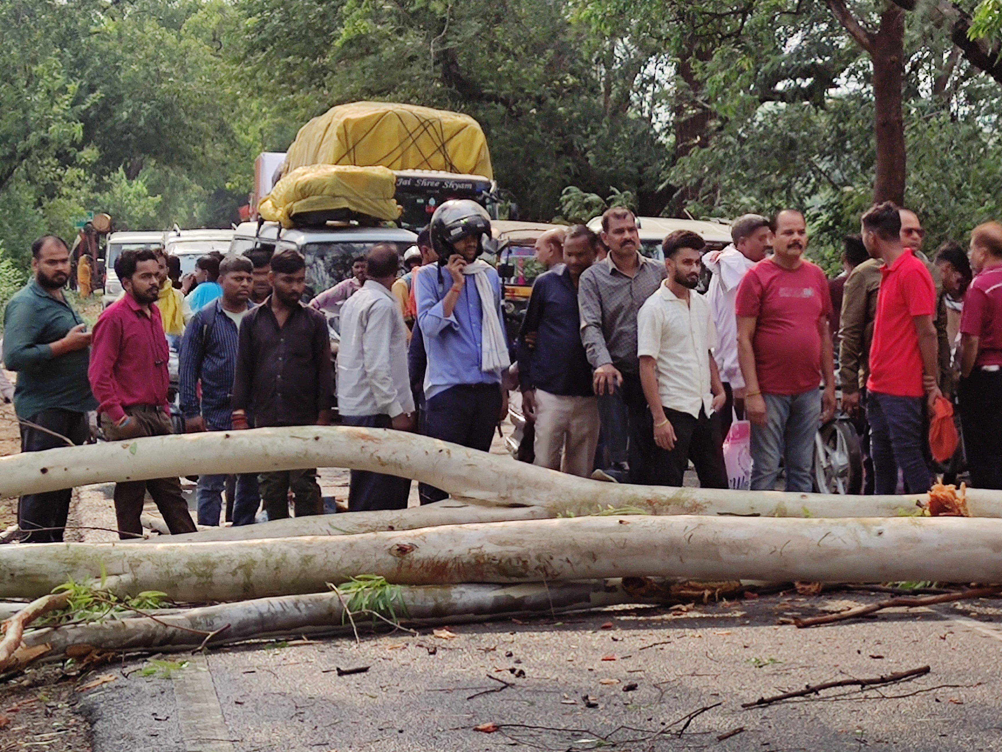 Due to storm, electricity and traffic system collapsed in Duddhi
