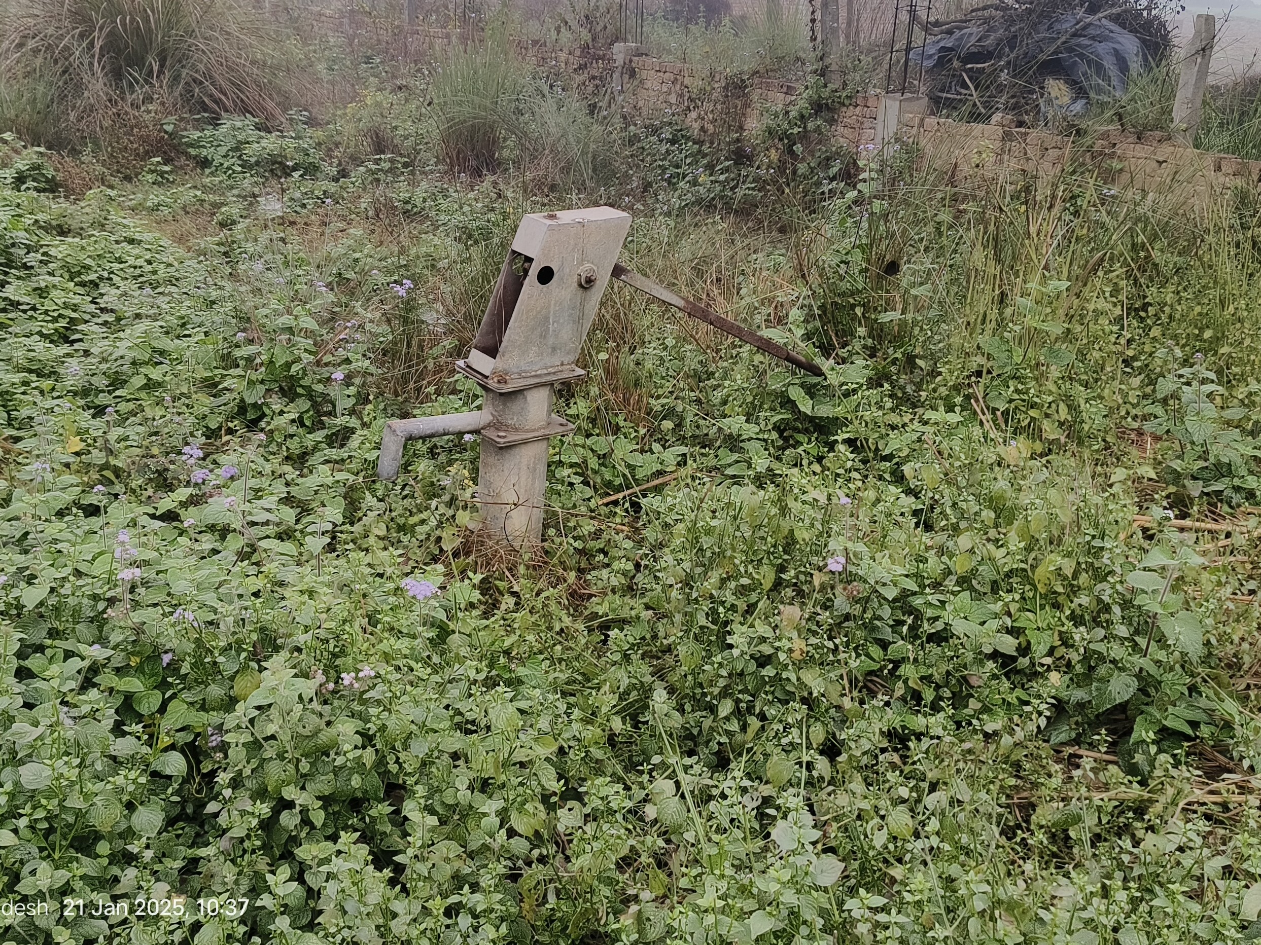 Lack of basic facilities in Sant Ravidas Nagar of Bankati | बनकटी के ...