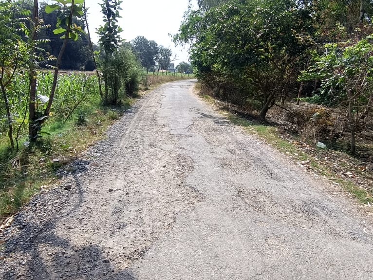 The connecting road from Khiharan to Dadwa is dilapidated | खिहारन से ...