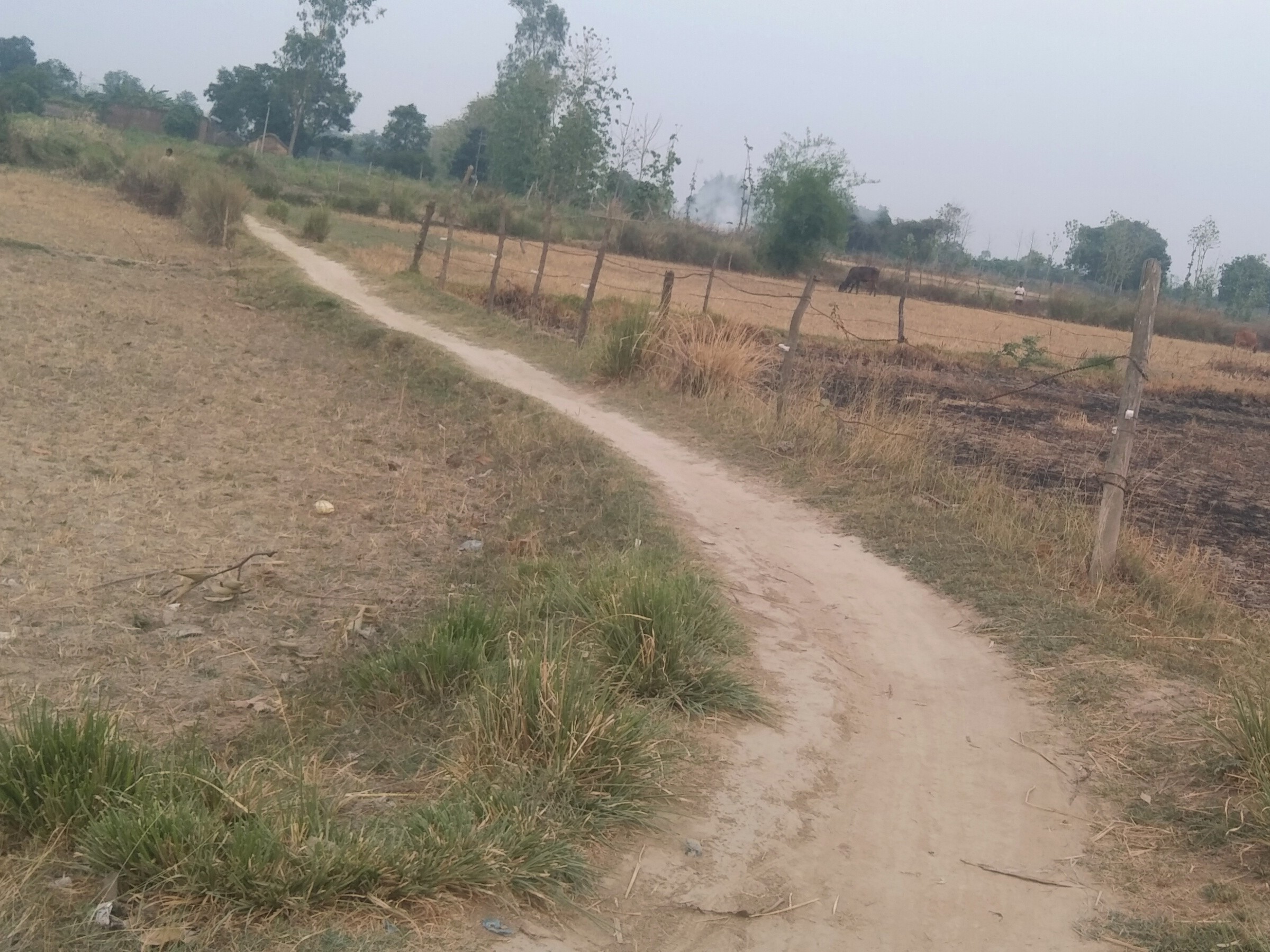 Unpaved road from Mofia to Takia