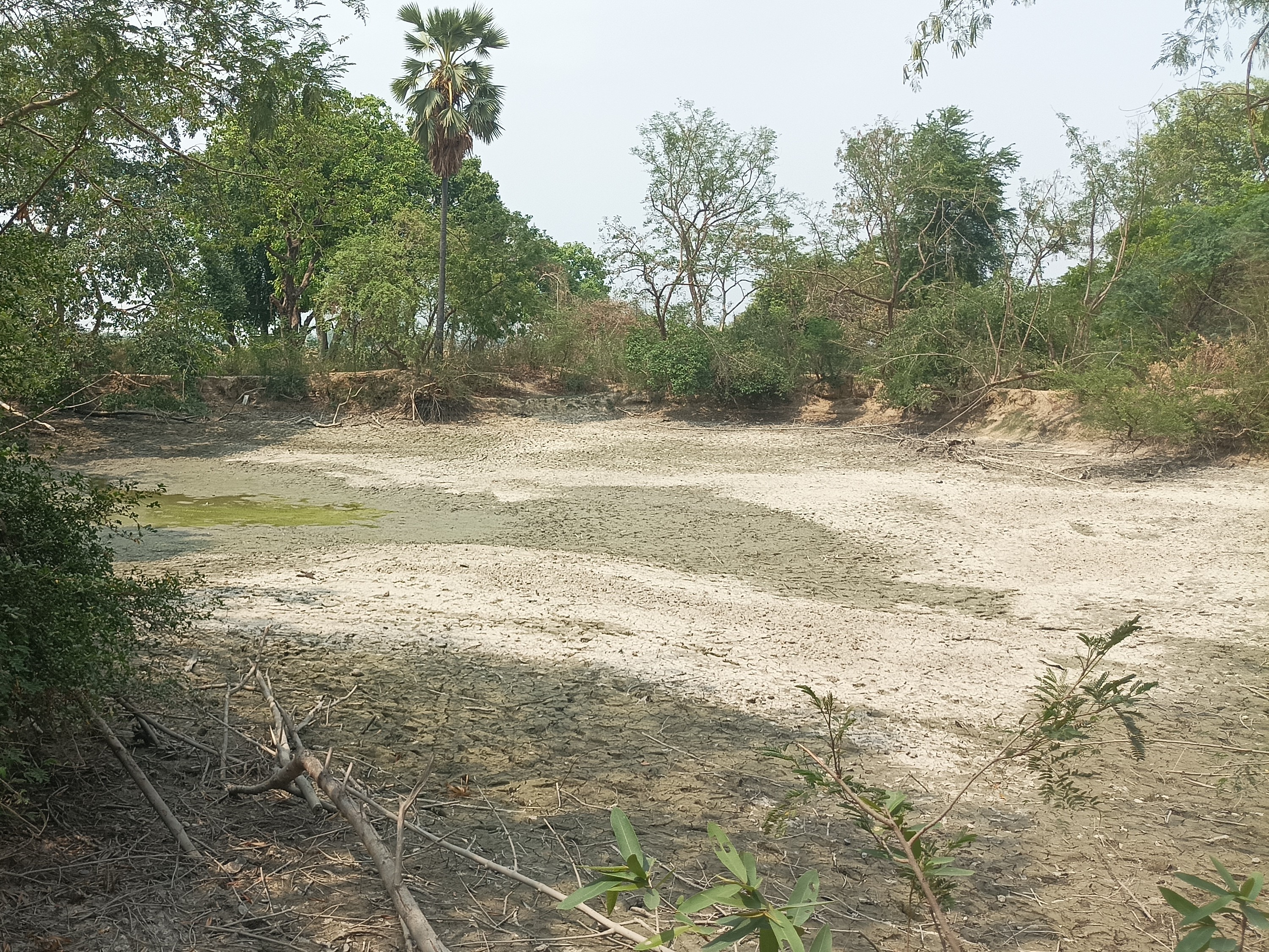 water crisis in dildarnagar