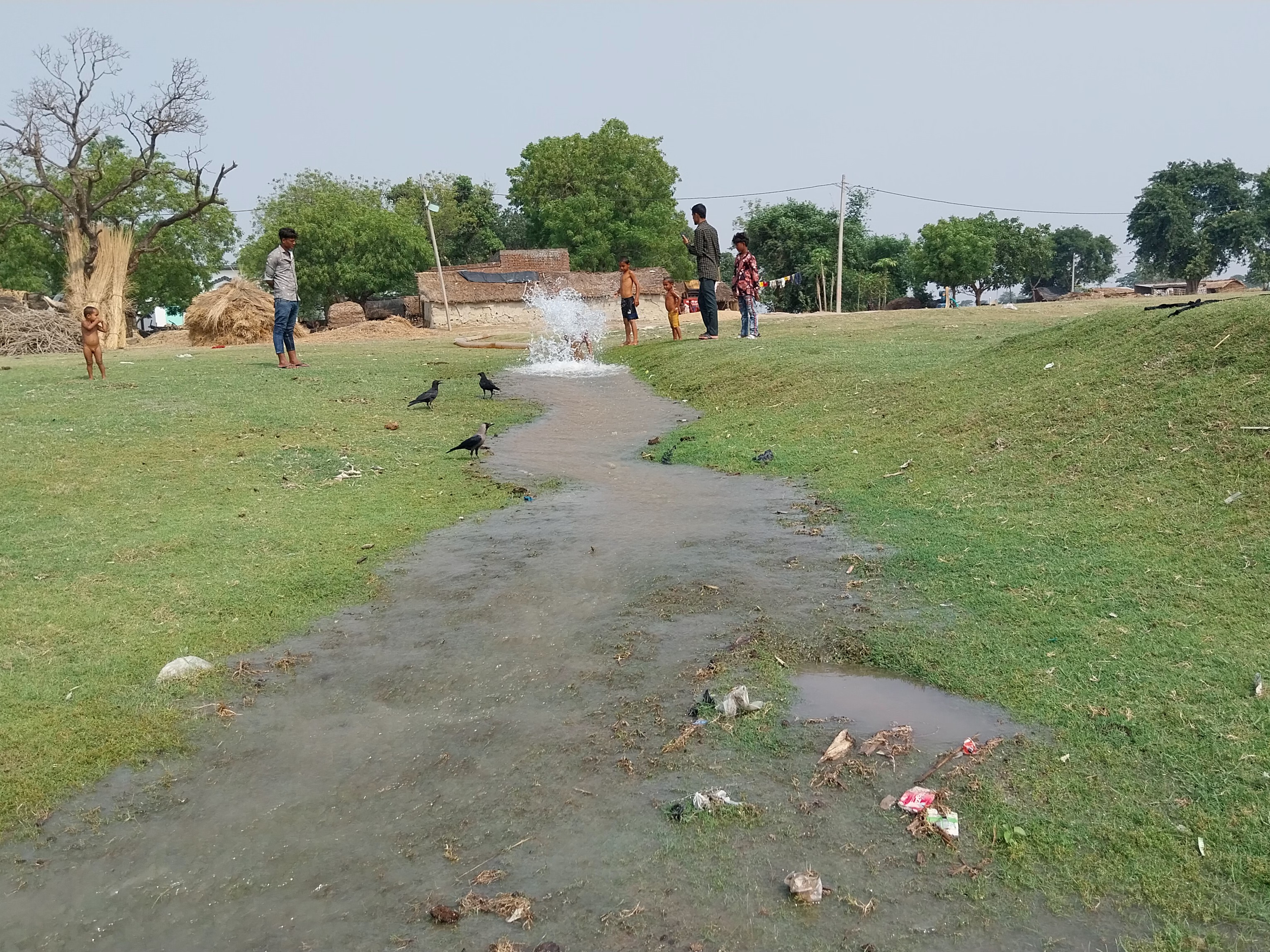 Water filled in the dry pond in Birahimpur Belhaura of Kaiserganj ...