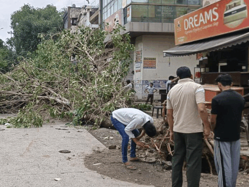 Faridabad, Ballabhgarh, Storm Rain Damage, Railway Station | Uprooted ...
