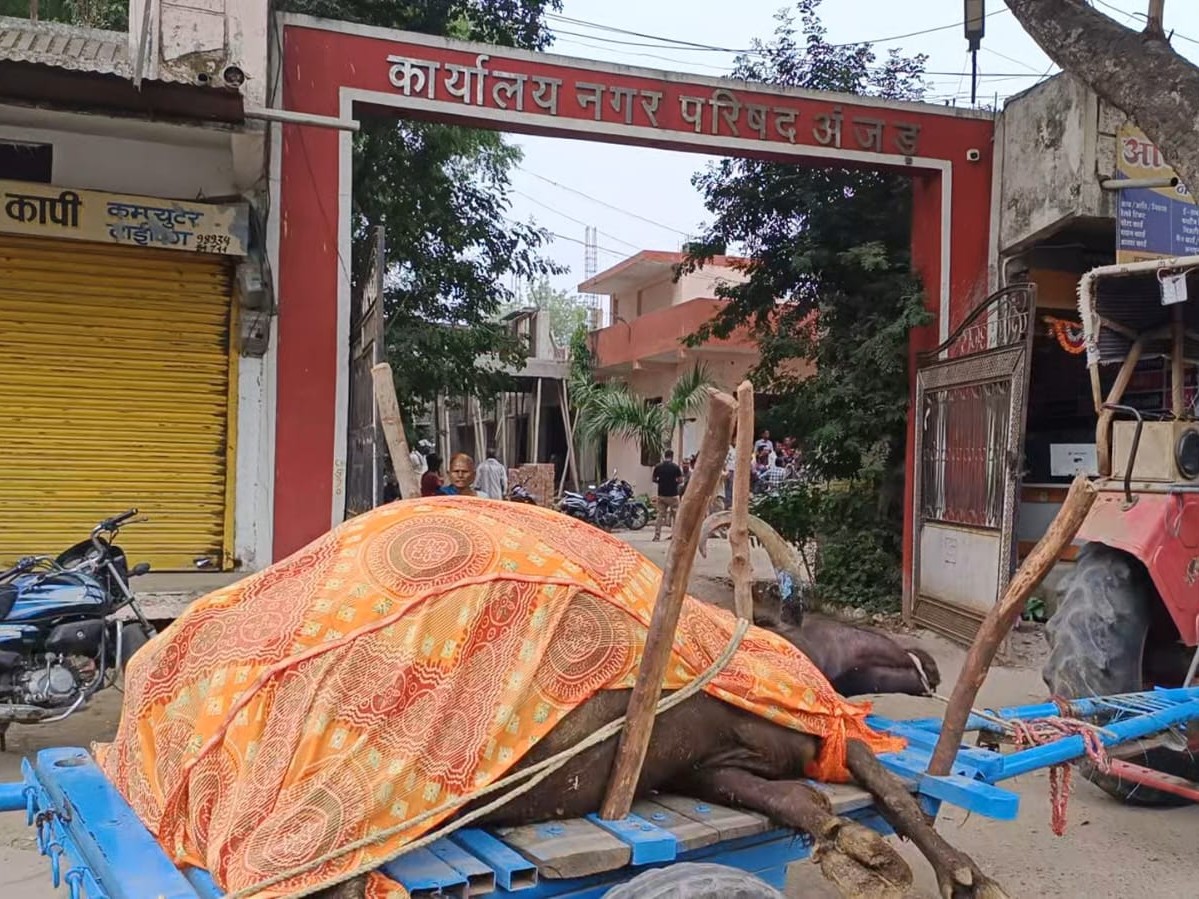 Controversy over disposal of dead animals in Anjad of Barwani | बड़वानी ...