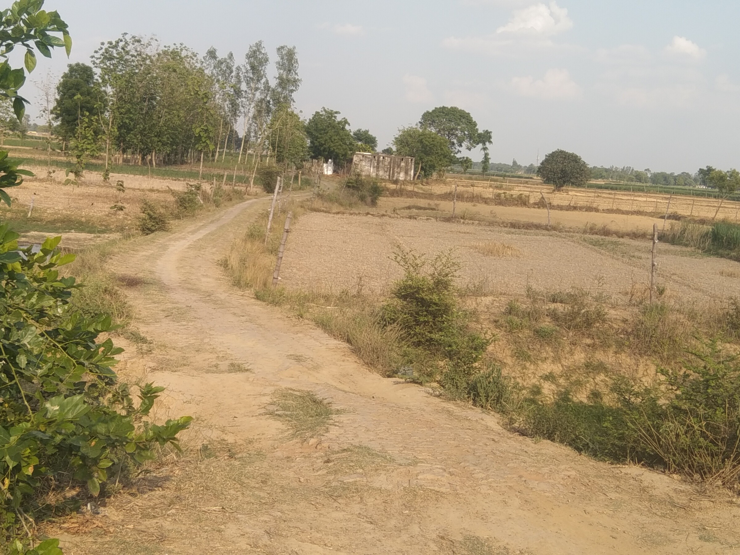 The school in Majra Chahuva and the main road of the village are ...