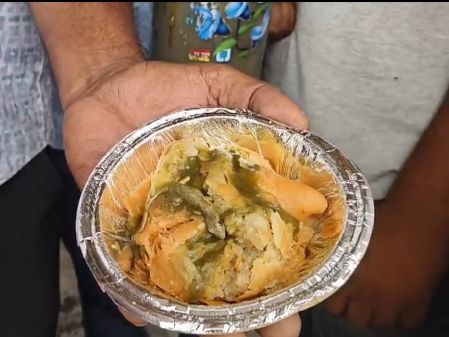 Dead lizard found in samosa in Hathras | हाथरस में समोसे में निकली मरी ...