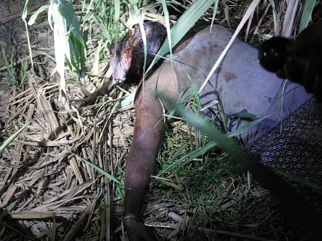 The body of a missing youth was found in a sugarcane field | गन्ने के खेत में मिला लापता युवक का ...