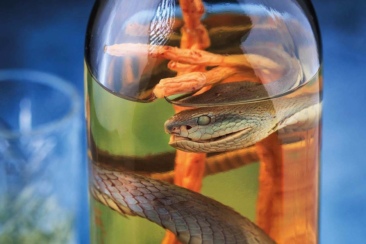 Mumbai Airport Snakes Smuggling; Venom Price | Snake Poison Market