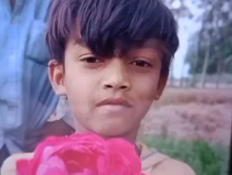 12 year old child died due to snake bite | सांप के डसने से 12 वर्षीय बच्चे की मौत: देर रात मटके ...