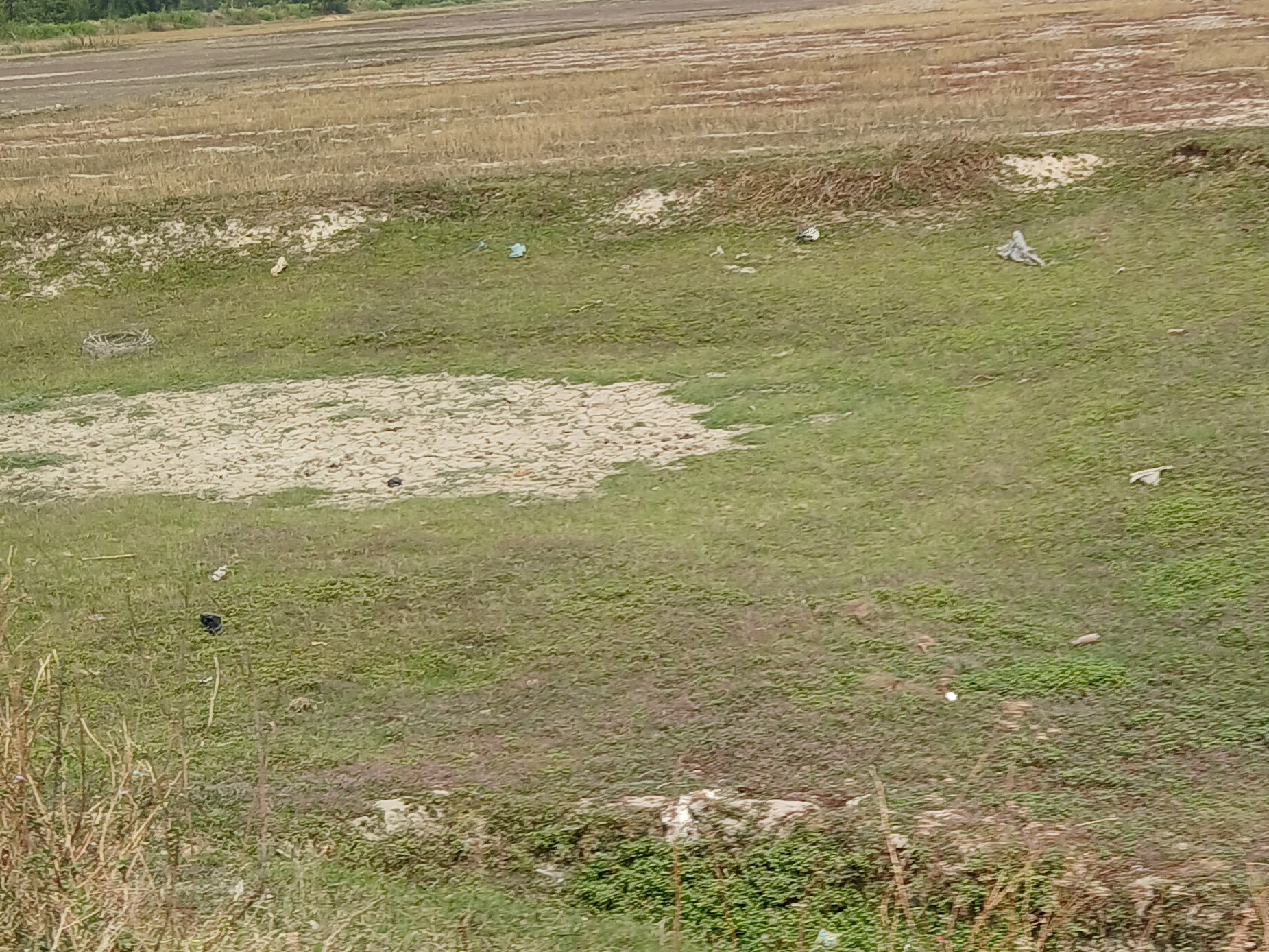Ponds dried up in Rehra block, wild animals coming towards the village ...