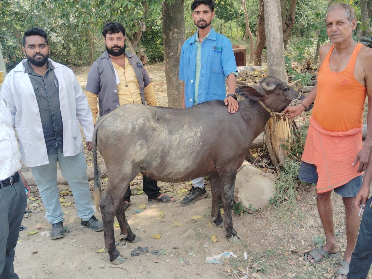 Campaign to prevent strangulation disease in animals | पशुओं में ...