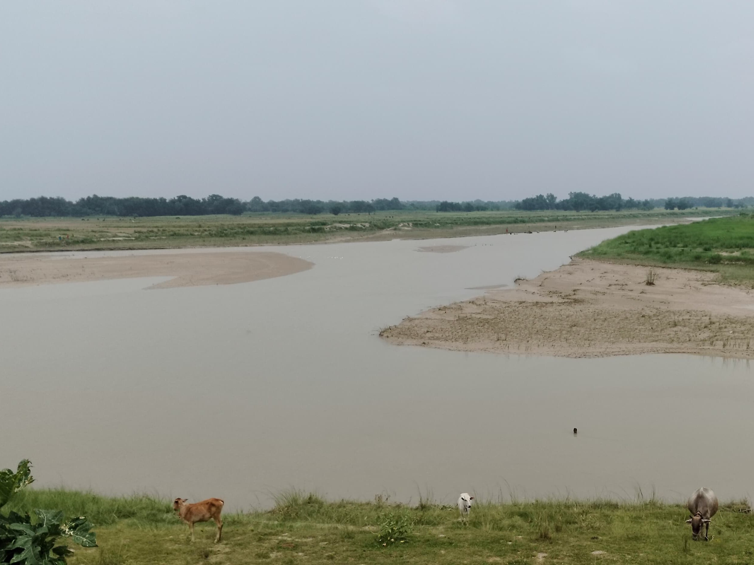 DM inspected the embankments of Kamla Balan river | कमला बलान नदी के ...