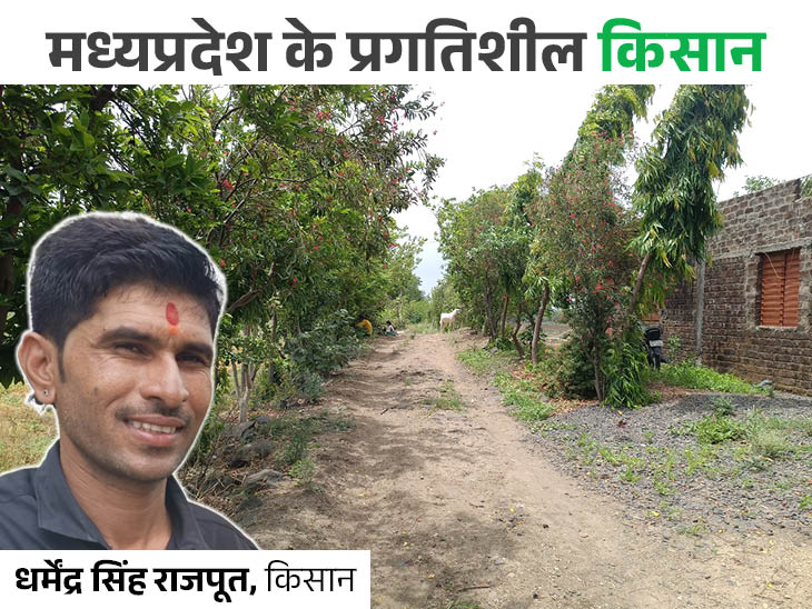 Smart Farmer of Madhya Pradesh। Dharmendra Singh Rajput। Dewas। Chhoti ...