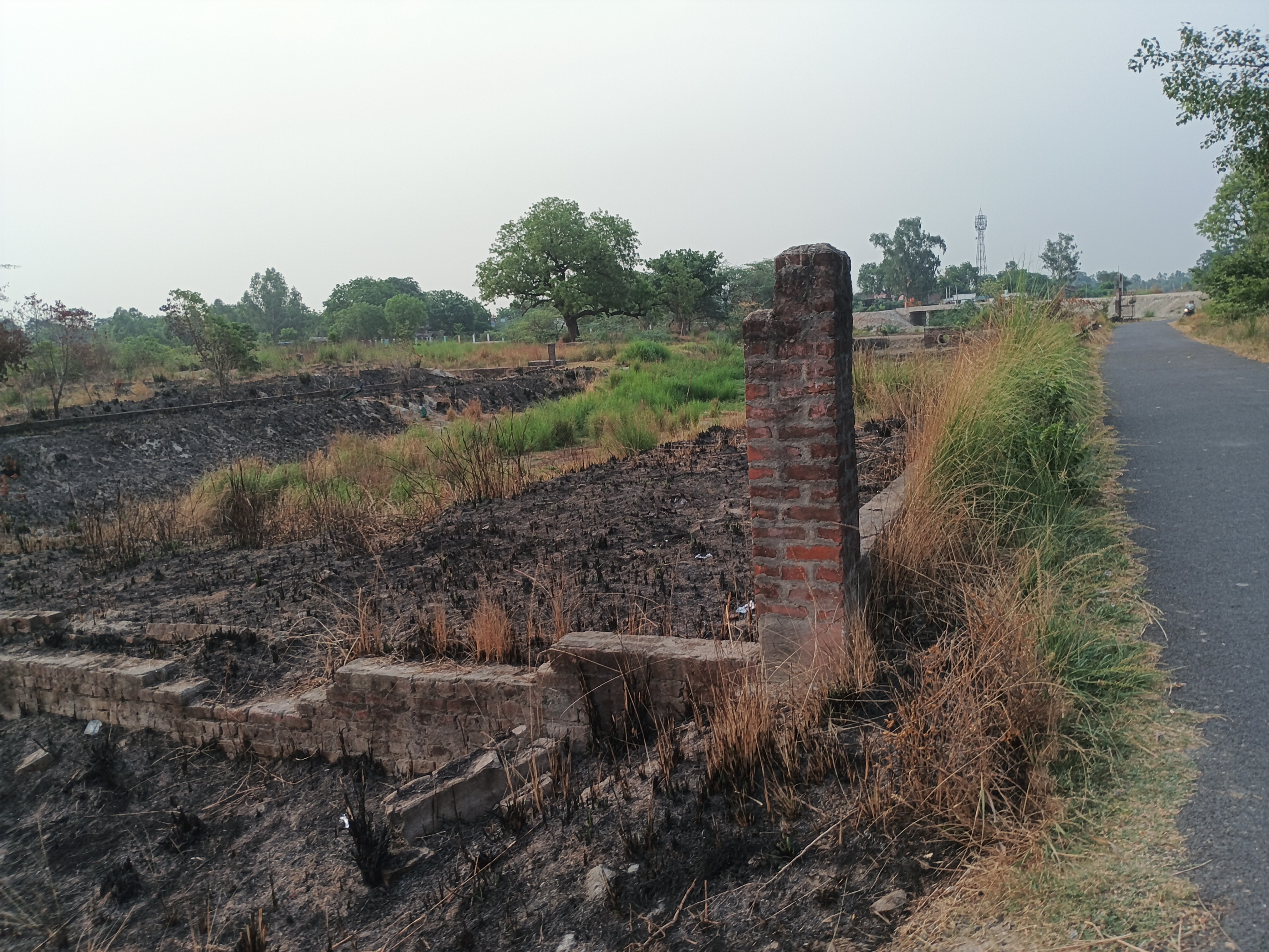 Government pond of Madhapur village