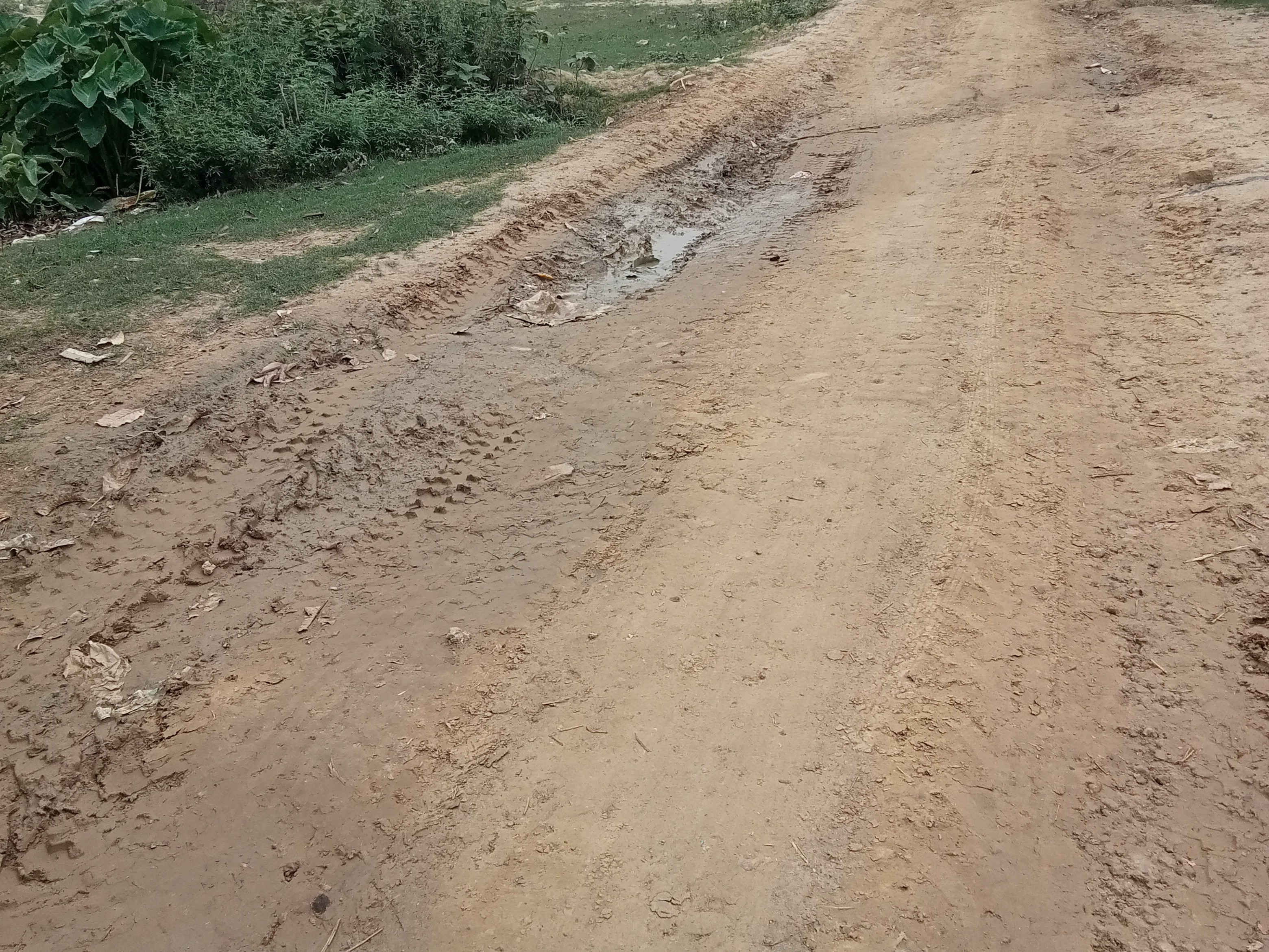Villagers are troubled by the dilapidated road in Bisanwa village ...