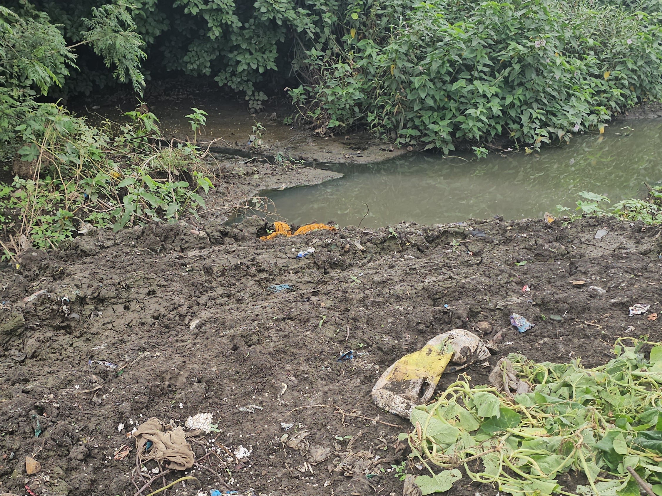 Danger of waterlogging in Tapti and Patel wards of Multai | मुलताई के ...