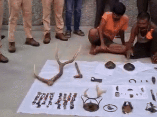 Rajasthan Kota Forest Department Abhed Biological Park DFO Anurag ...