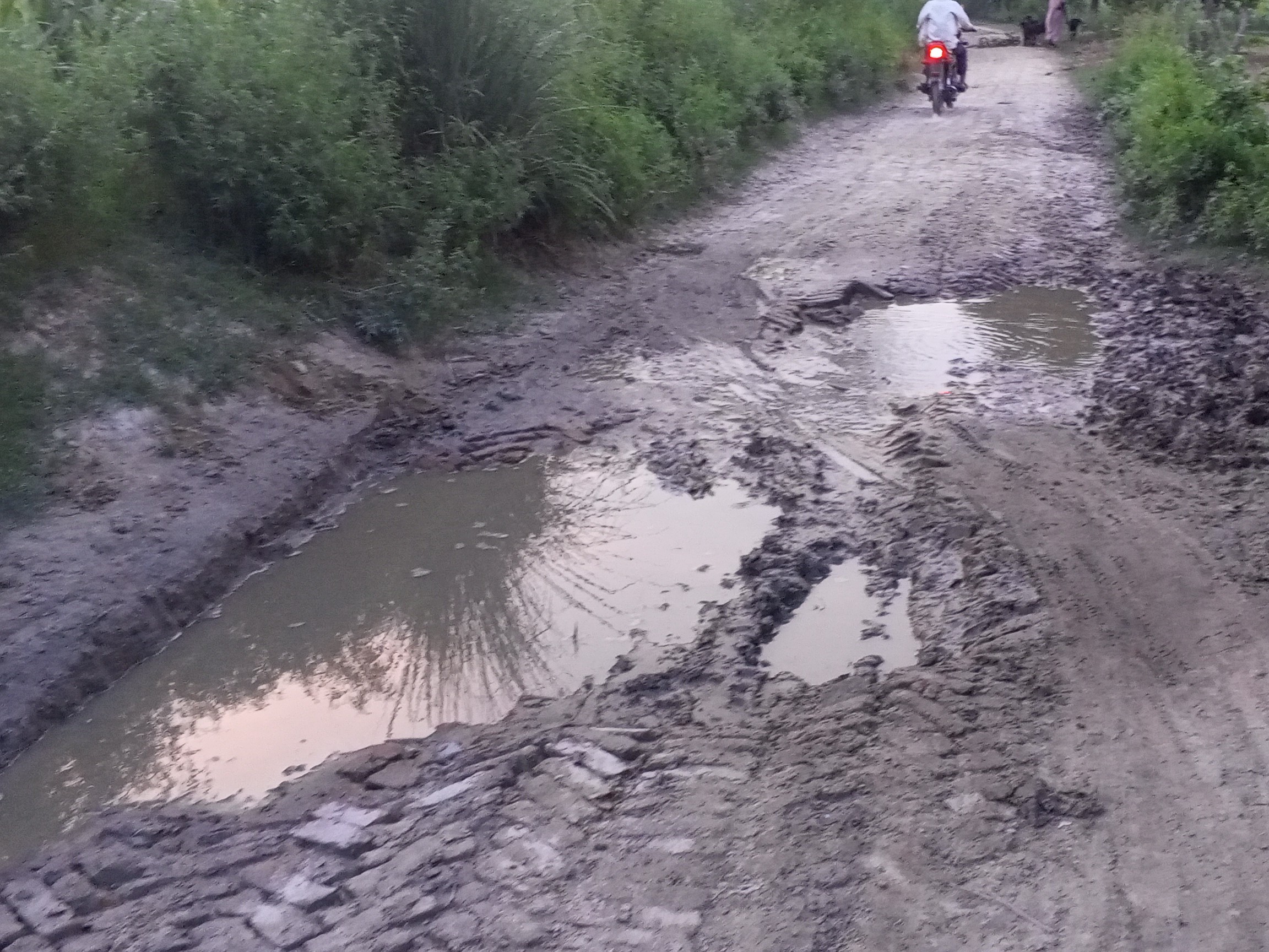 Waterlogging on Saidapur Bhau-Jagdish Purwa road | सैदापुर भाऊ-जगदीश ...