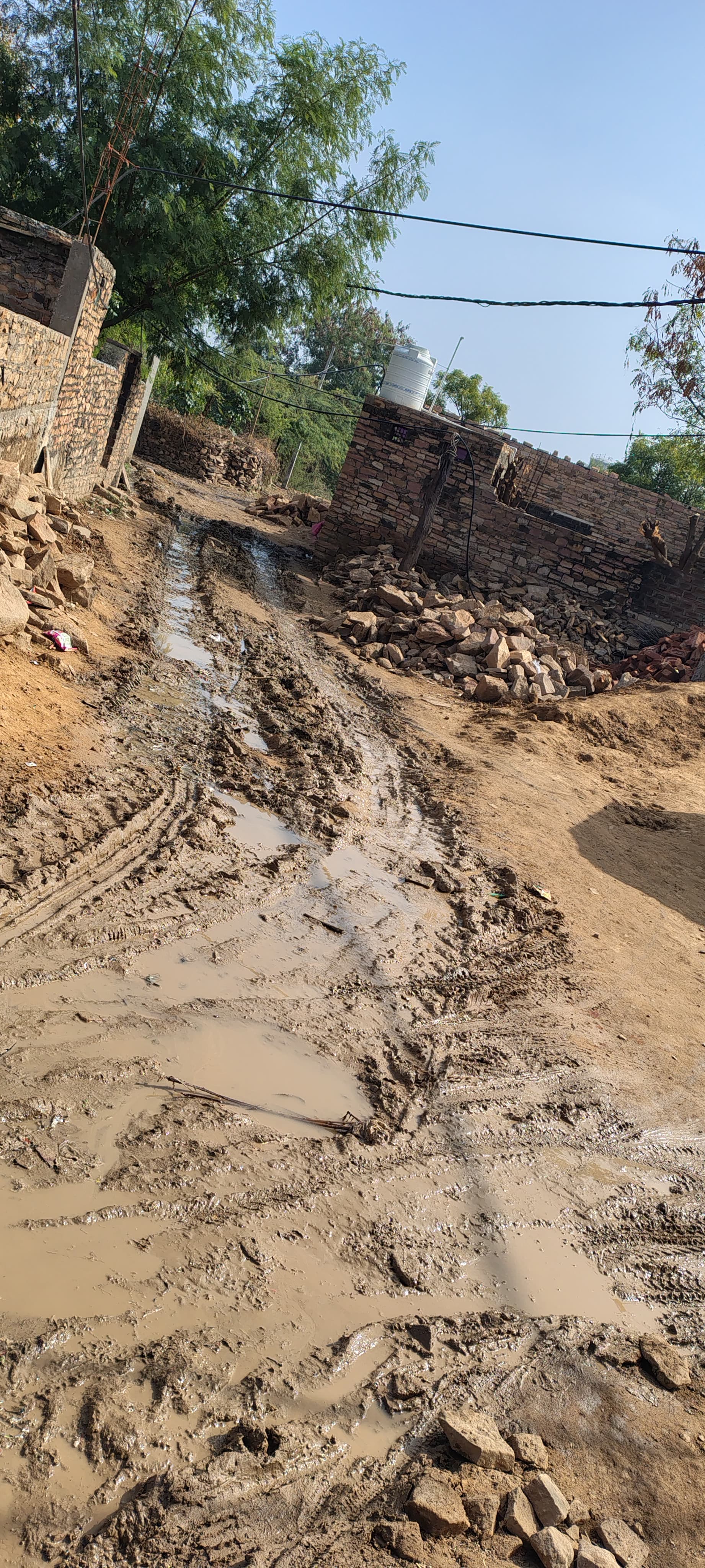 People of Jatav colony are deprived of road construction, they are ...