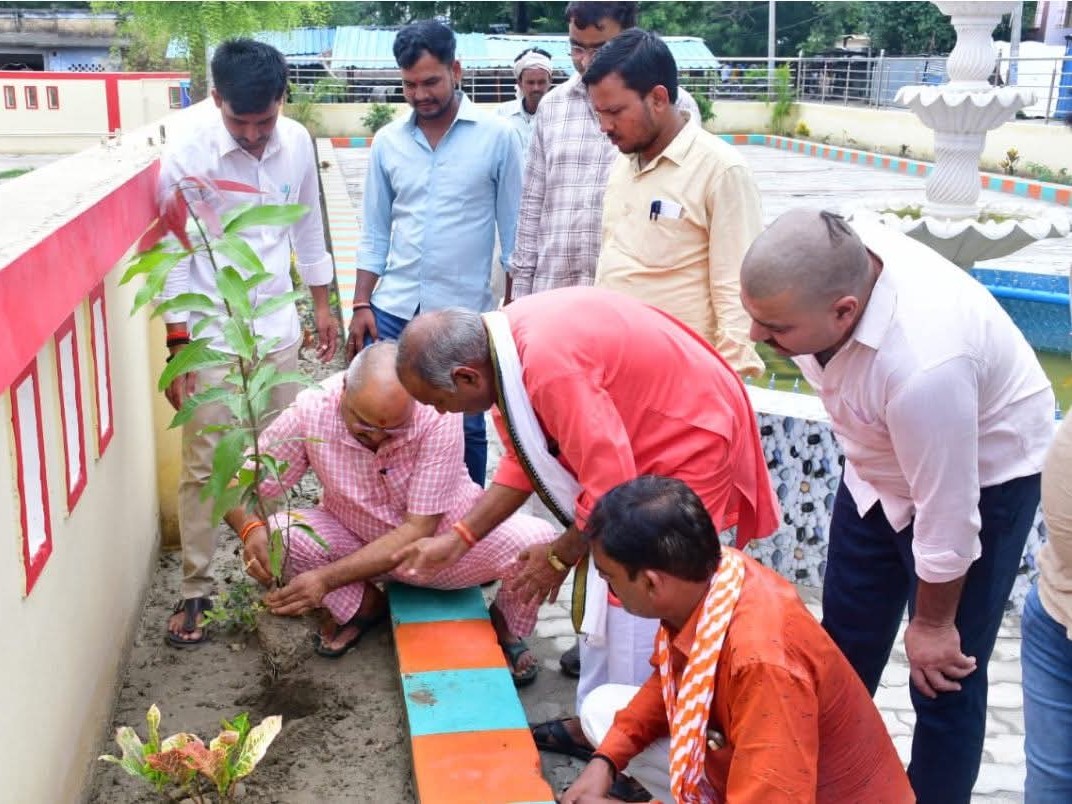 BJP planted trees at 2627 booths in Gonda | भाजपा का 'एक पेड़ मां के ...