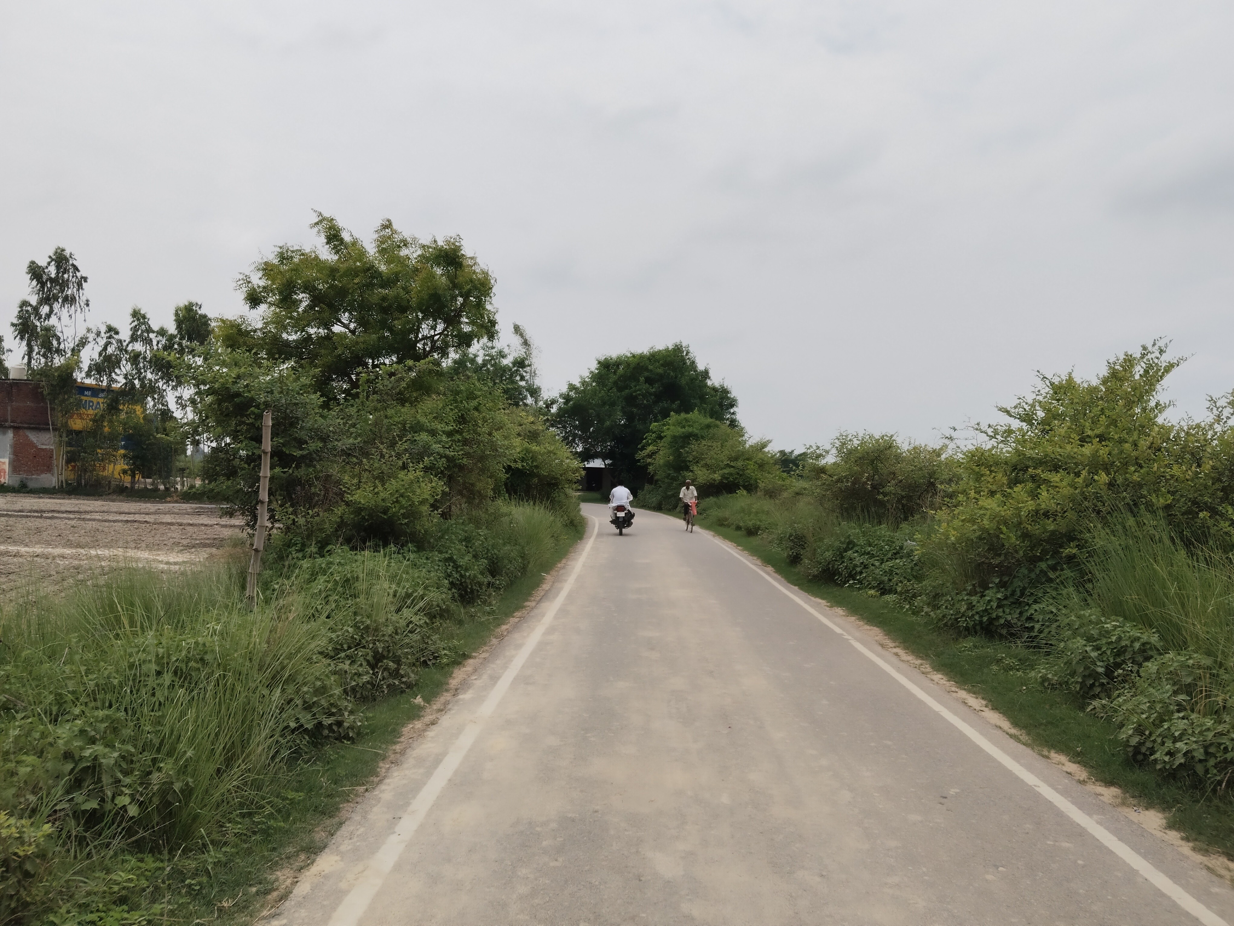 Bushes occupy Visheshwarganj-Puraina road