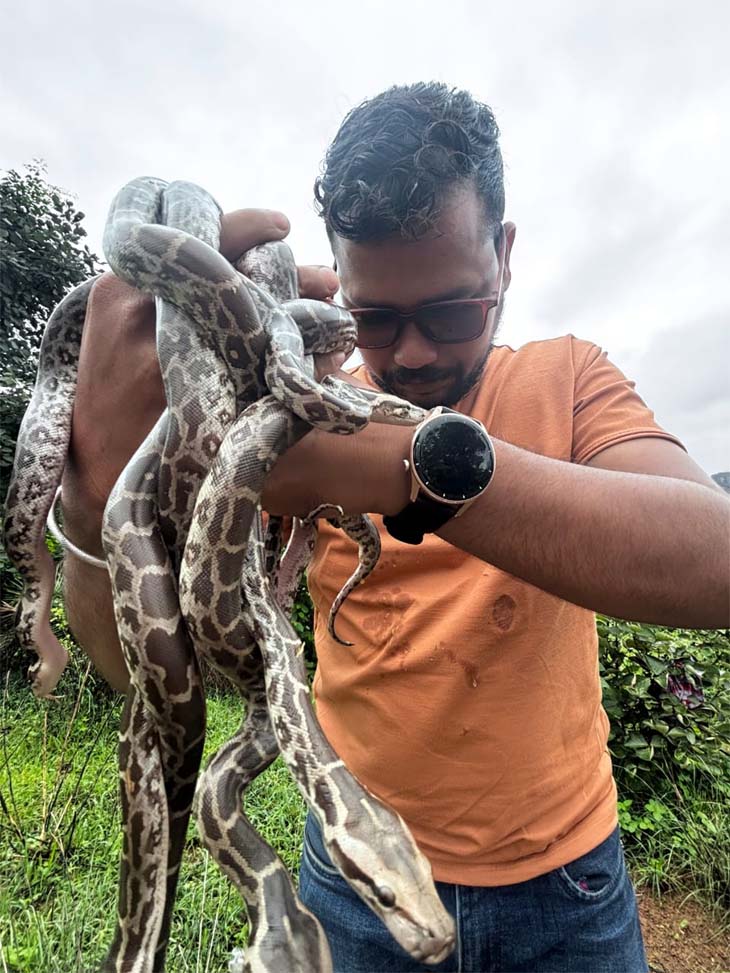 21 pythons hatched from eggs in Raigarh, Chhattisgarh, video | 21 अंडों से निकले अजगर...पहाड़ पर ...