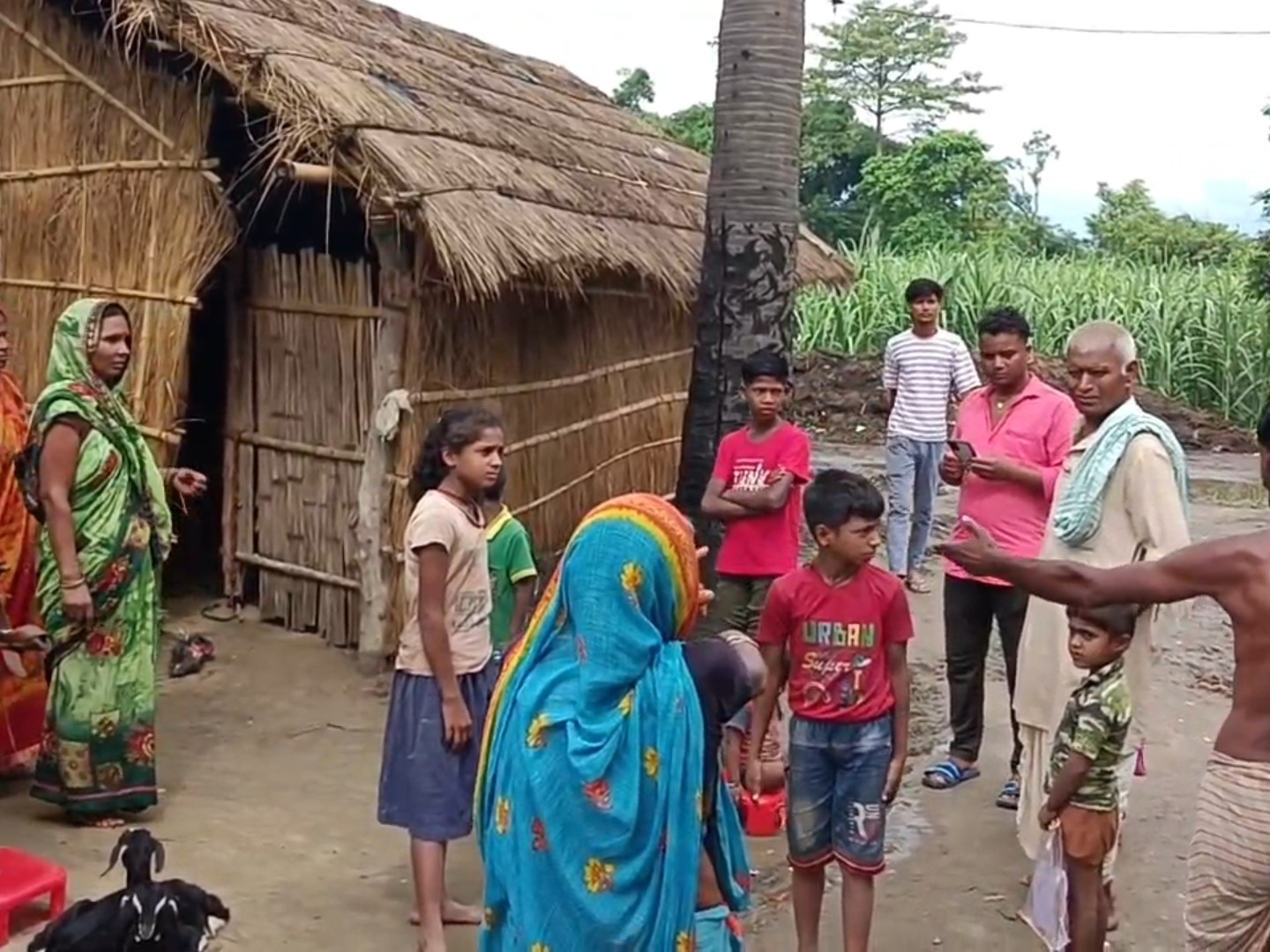 Stray leopard from Valmiki Tiger Reserve | वाल्मीकि टाइगर रिजर्व से ...