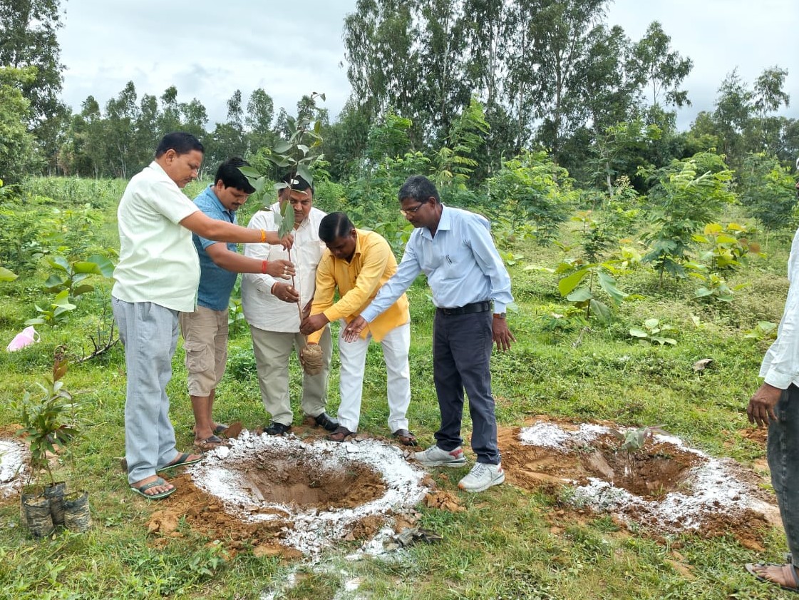 Special plantation campaign was conducted in the development block area ...