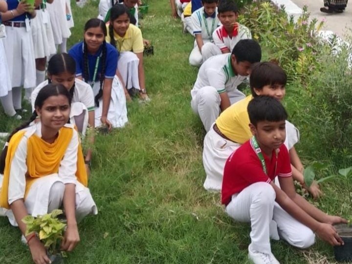 Organizing a tree plantation program in Chauri Chaura | चौरी चौरा में ...