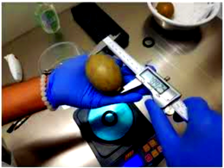 Jaisalmer Godavan Breeding Center (Indian Bustard) Eggs Experiment ...