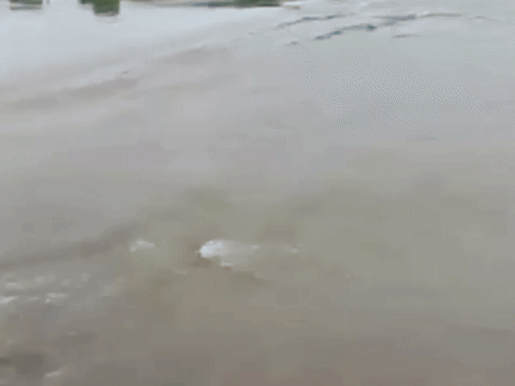 Water level in Harsi dam crossed 870 feet