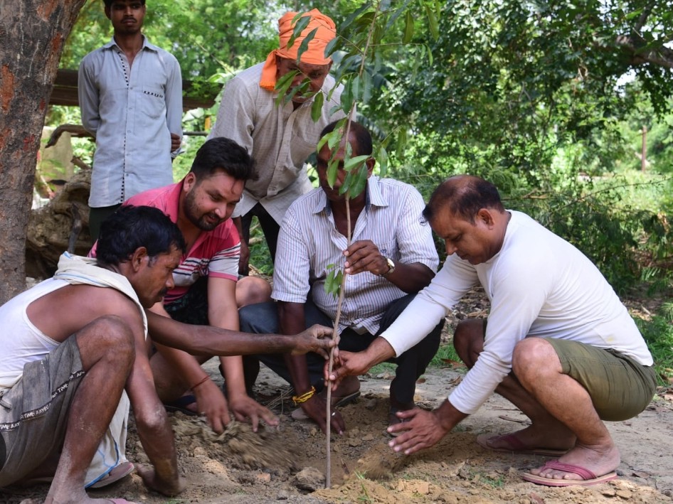 Three-day tree plantation program in Gosaiganj