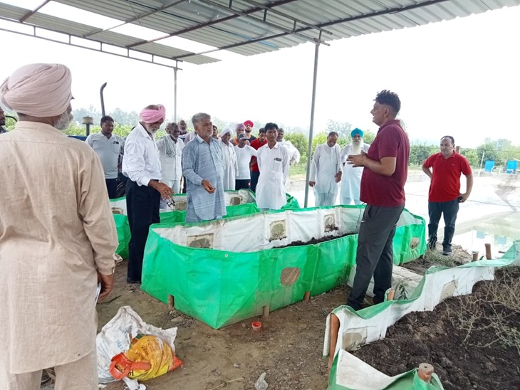 Darvesh Patad's Farming Success Story | Surewala Hisar | Indo-Israel ...