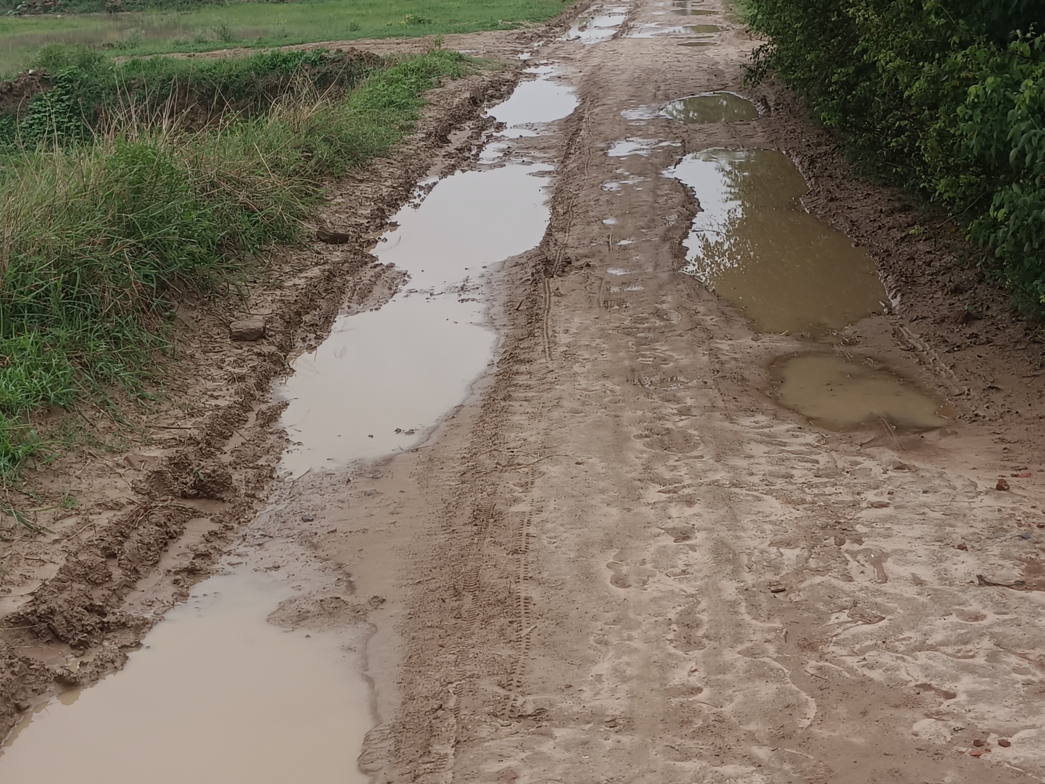 Waterlogging on Ramoli Hibhanapur road | रमोली हिभनापुर मार्ग पर जलभराव ...