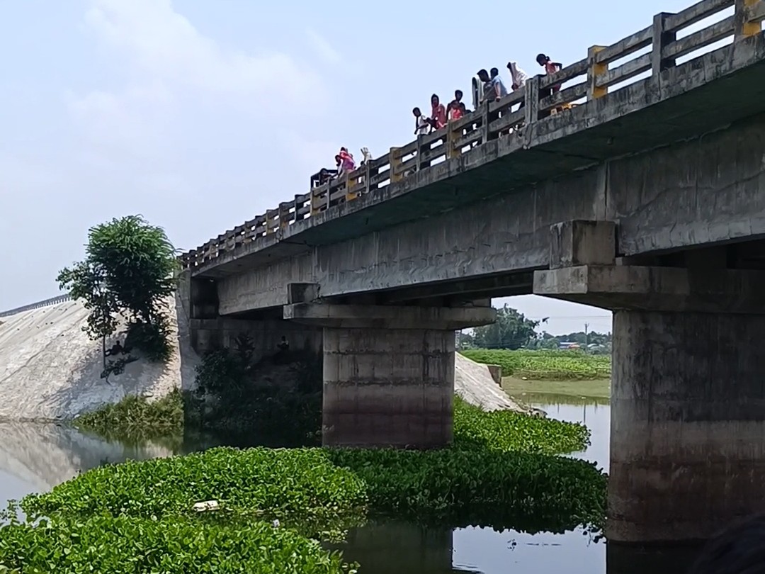 Teenage girl fell into river from bridge | पुल से नदी में गिरी किशोरी ...