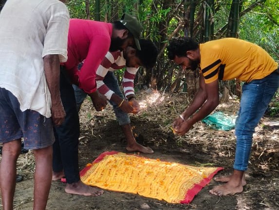 A monkey died after falling from a tree in Bawa village | बंवा गांव में ...