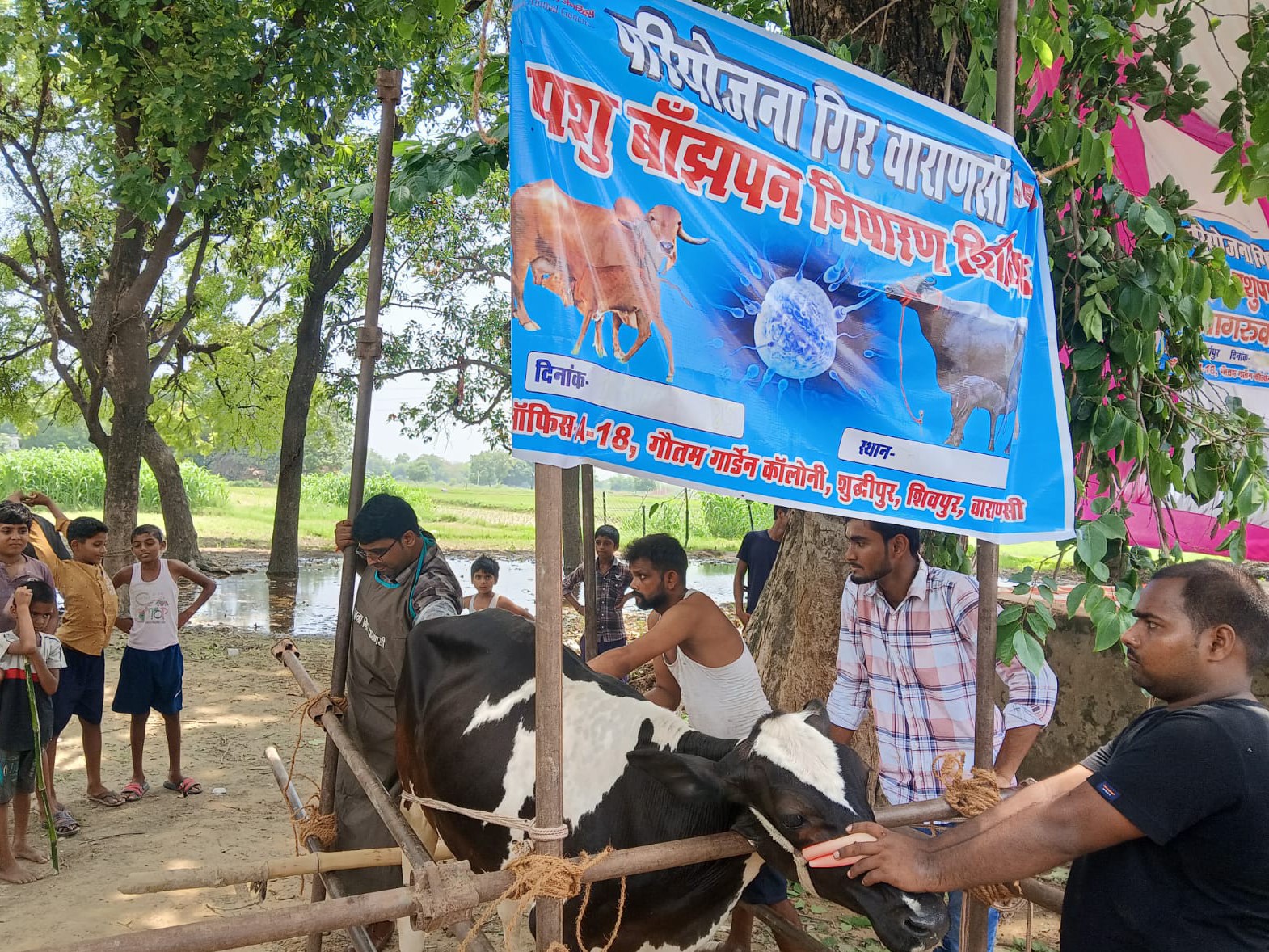 Farmers' meeting and animal infertility camp in Bhogaon | भोगांव में ...