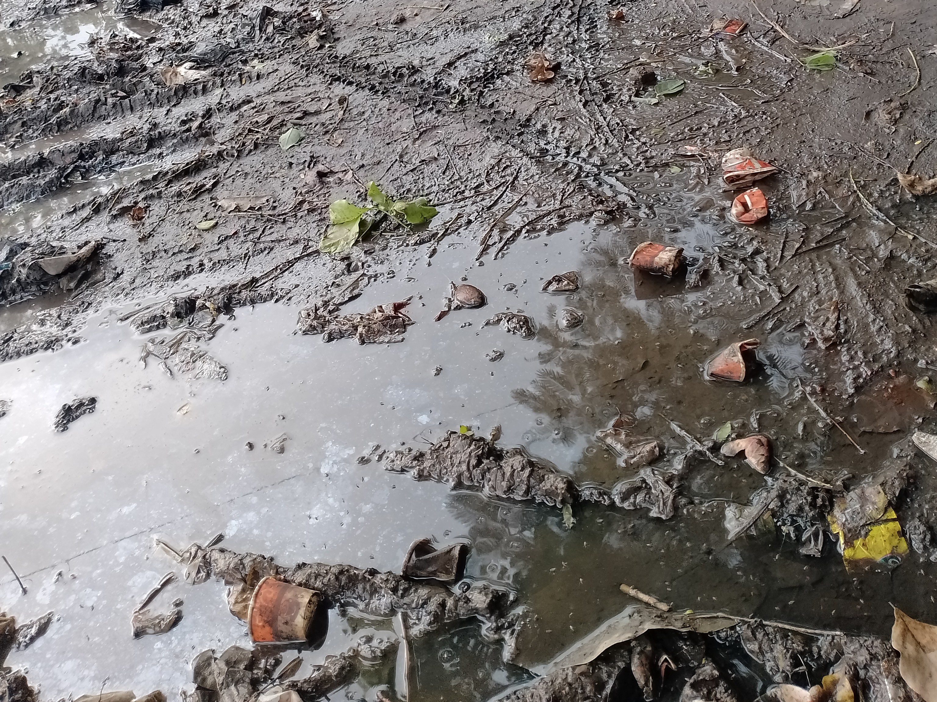 Cleanliness system is in bad shape in Aliganj market
