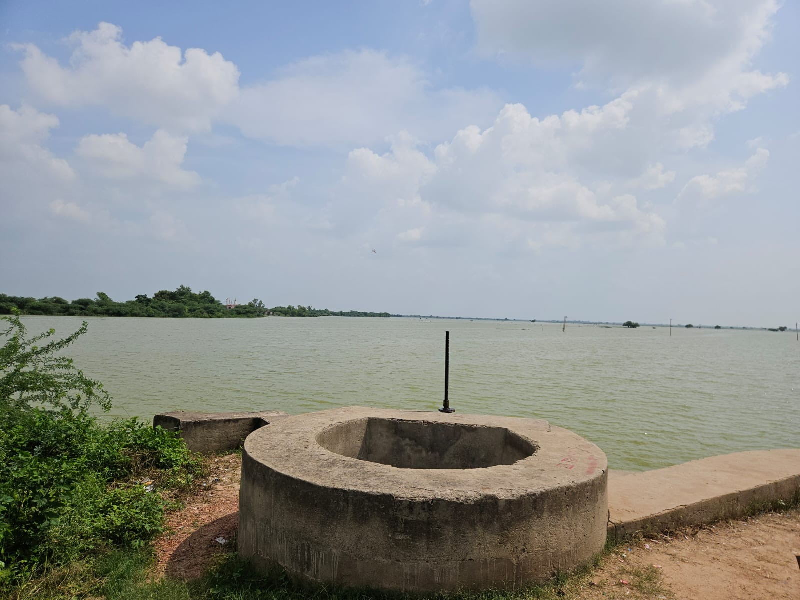 The water from Panchana dam brought food for the birds/panchna bandh ...
