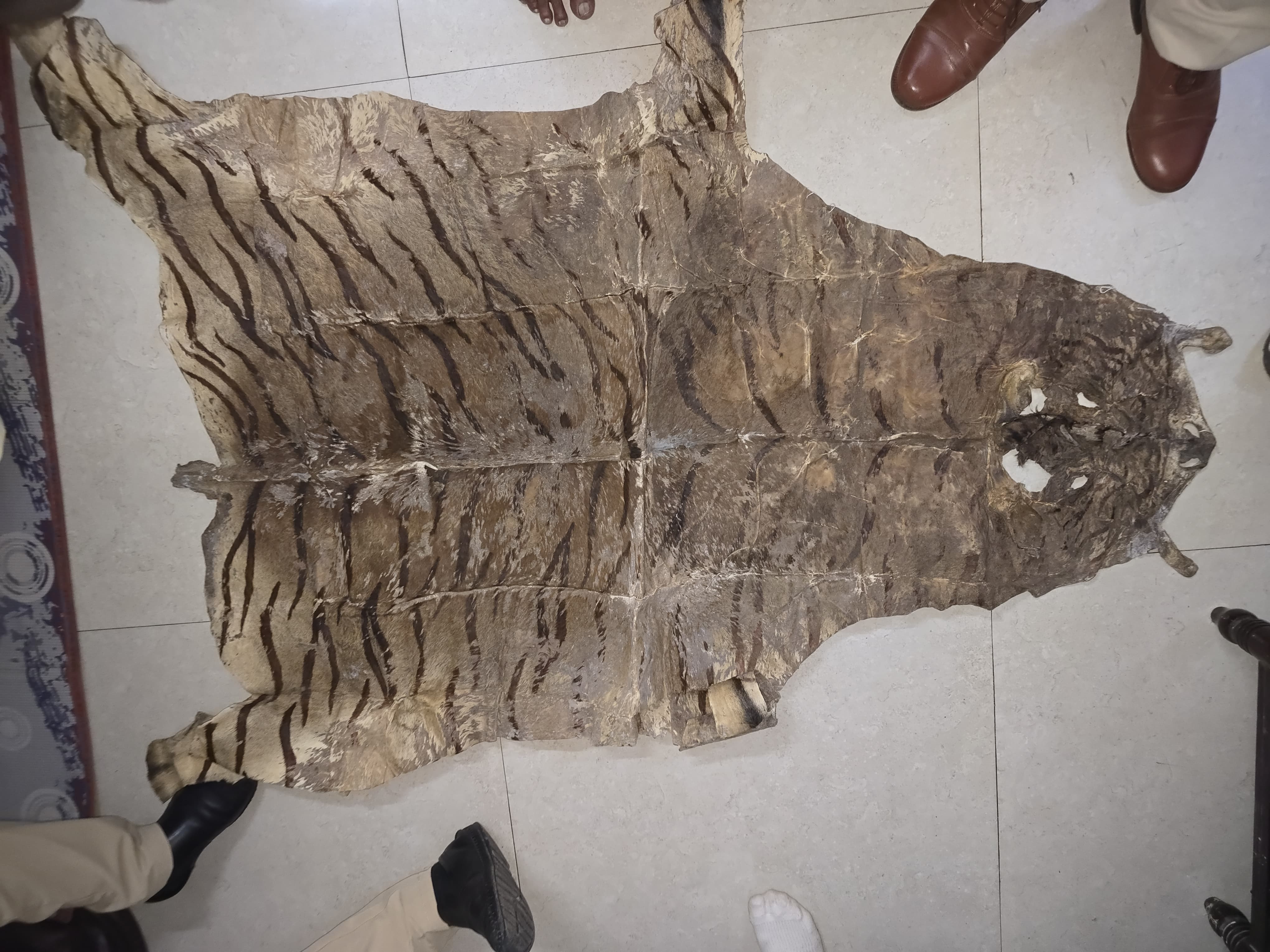 Jabalpur Crorepati Deputy Commissioner; Jagdish Sarvate EOW Raid | Tiger Skin | डिप्टी कमिश्नर ...