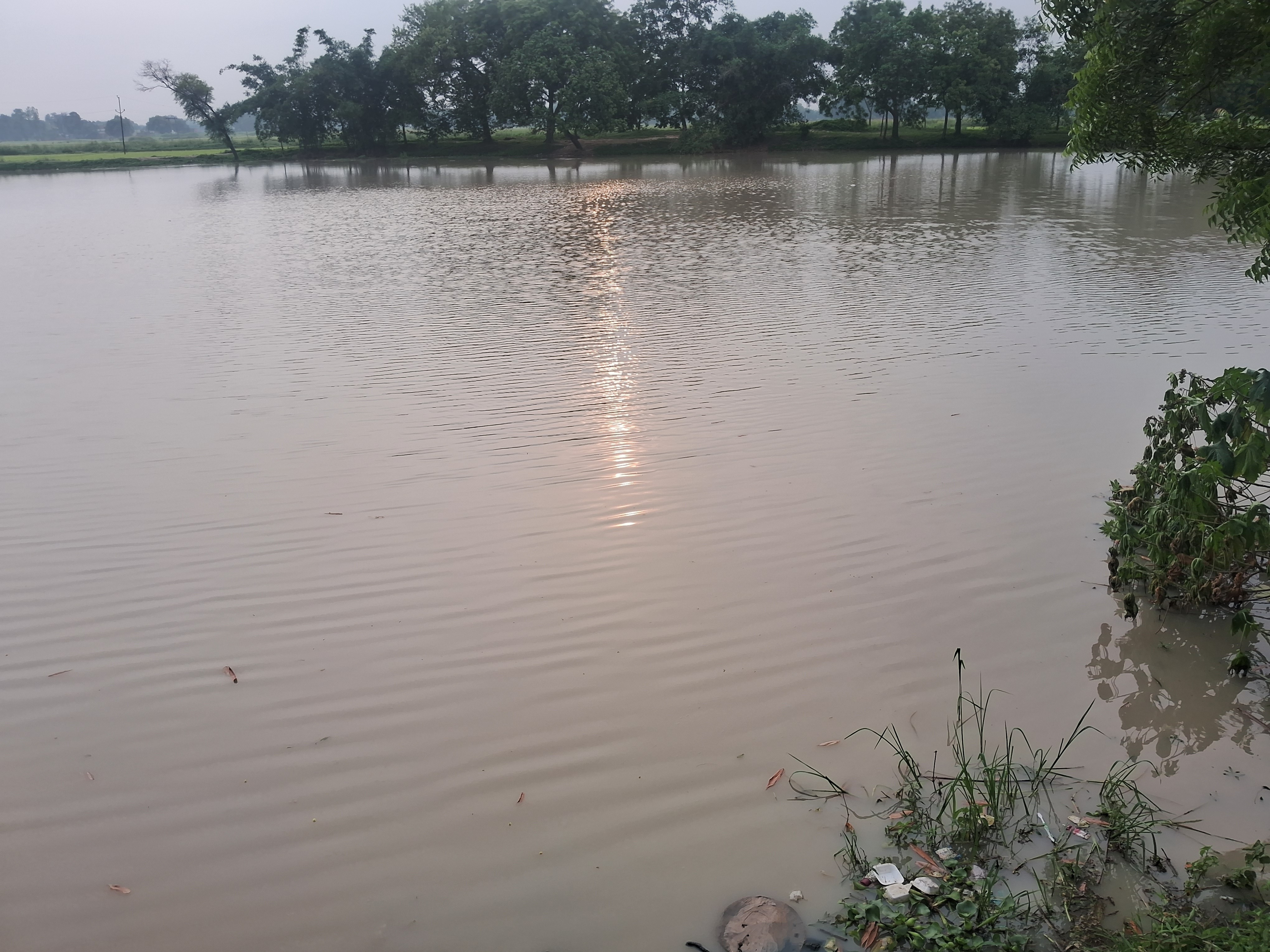 A young man died after drowning in a pond | तालाब में डूबने से युवक की ...