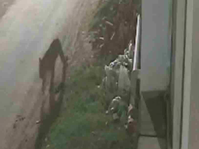 Leopard knocks in Gorakhpur's Mohanapar