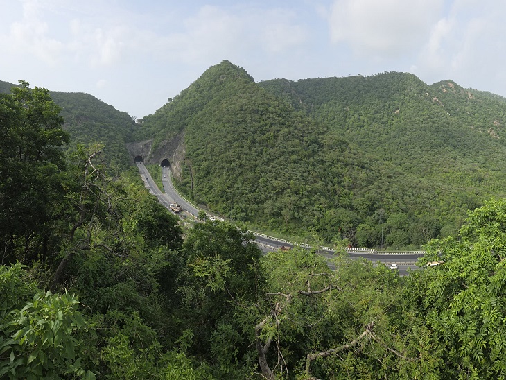 See 10 pictures of Udaipur on World Nature Conservation Day