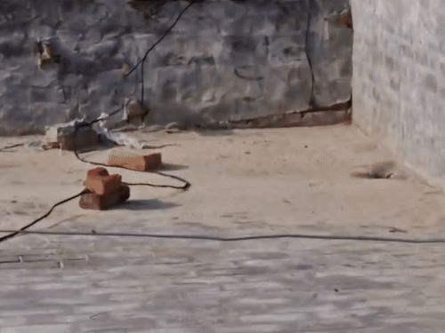 Sirsa House Vandalized Attack Theft Advocate Harbhajan Singh Incident ...