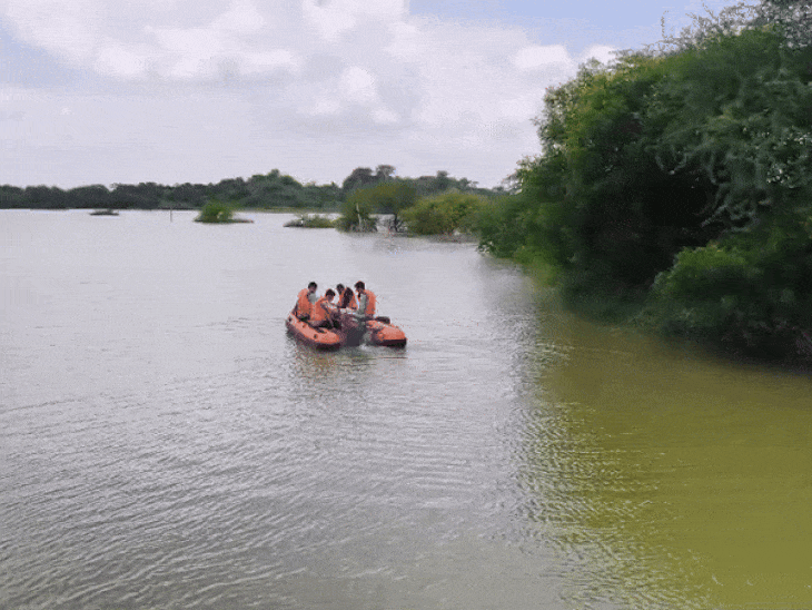 Latest Bhind News (भिंड न्यूज़): पढ़ें 29 जुलाई के ताज़ा समाचार दैनिक ...